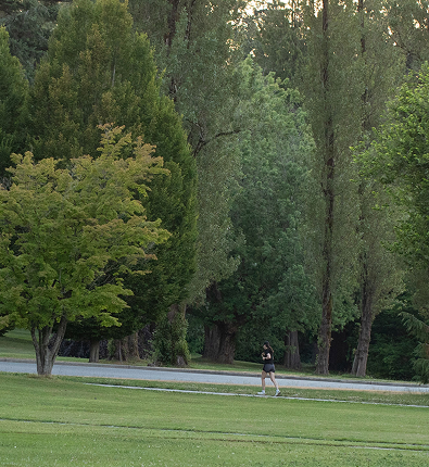 Masterplan - by Holborn